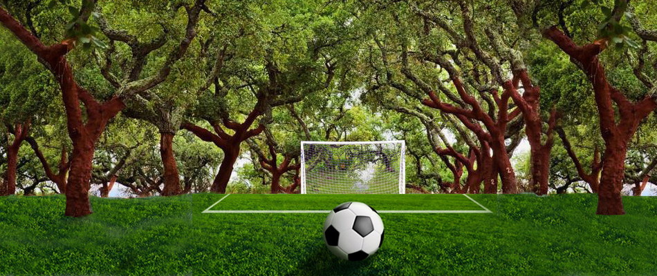 PFC: Pure Cork ProFormance Infill | GreenPlay®