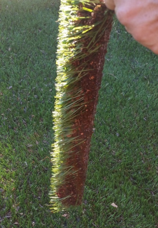 Greenplay® Makes the Difference | GreenPlay®